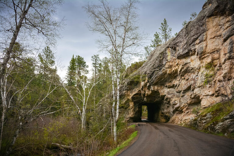 Rockerville Lodge and Cabins | Modern & Rustic Getaway | Rockerville, SD
