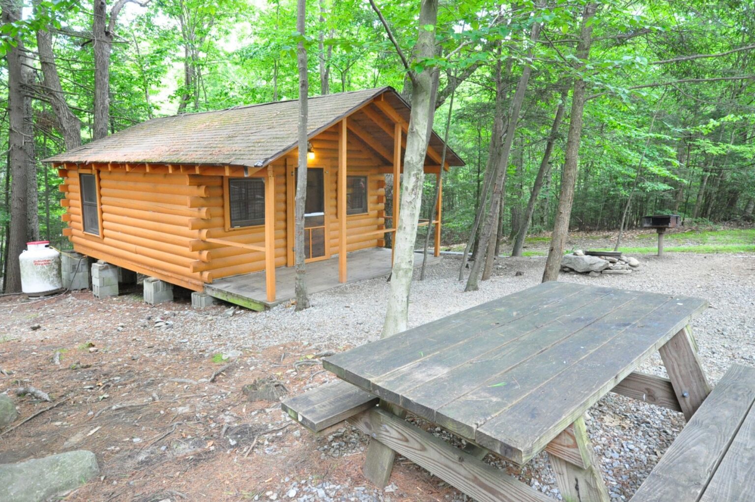 Join our newsletter to received news and updates from Prospect Mountain ...