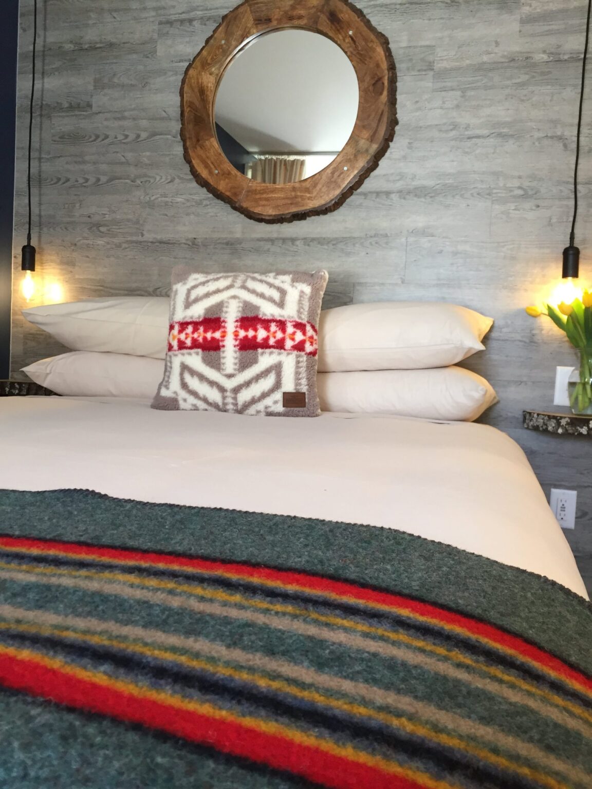 Check Out Our Canopy Deluxe Rooms in Falmouth | Treehouse Lodge