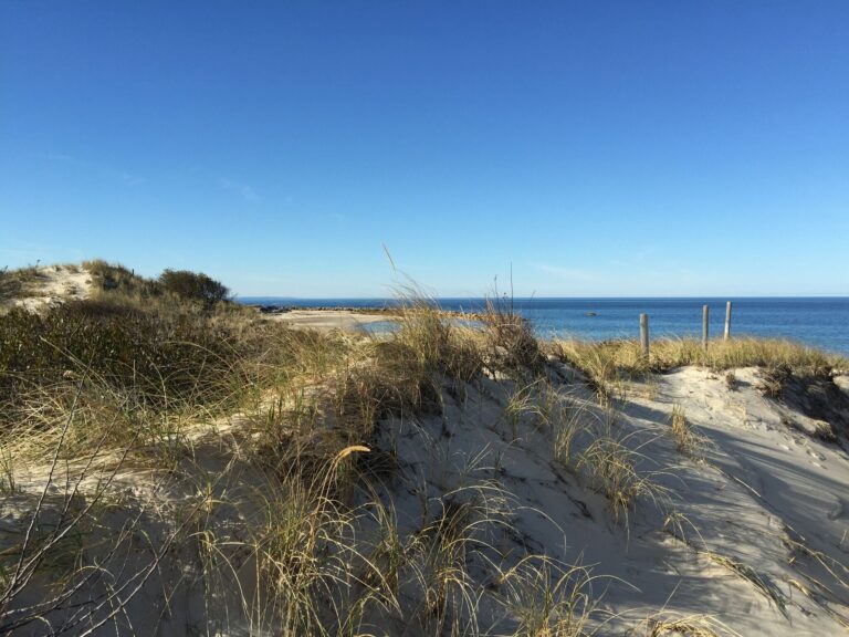 Things to do on Cape Cod This Summer - The Inn at Yarmouth Port