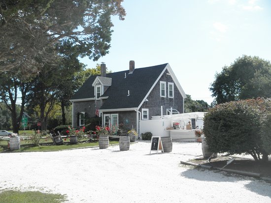 The 3 Best Cape Cod Wineries | Cape Cod Vineyards & Wine Tours