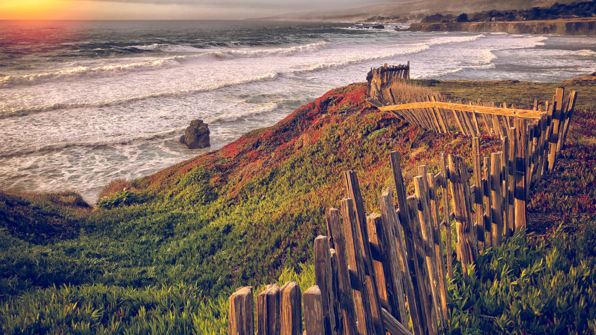 Hidden Gems in and Around Little River Cove: A Must-Visit Guide for an ...