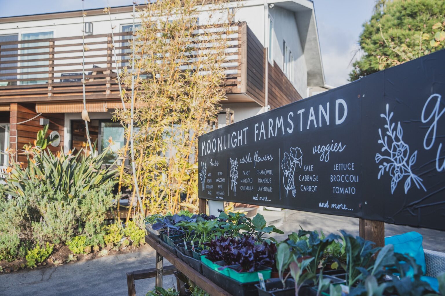 Sustainable Luxury with Purpose: Discover the Inn at Moonlight Beach ...