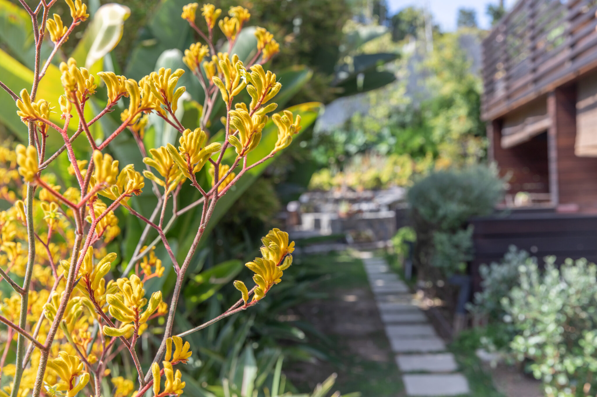 How to Plan a Luxe Eco-Retreat for Your Conscious-Living Partner - Inn at Moonlight Beach