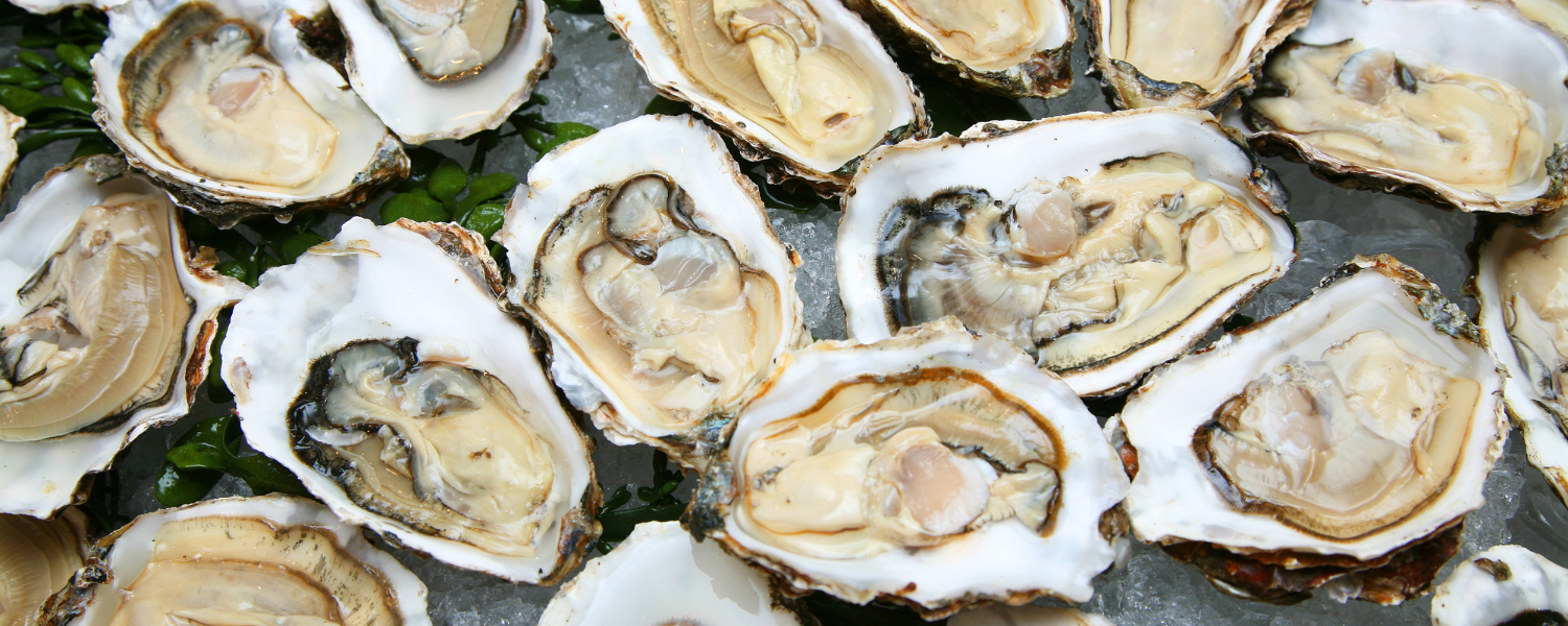 THE BEST OYSTER ROASTS ON KIAWAH ISLAND - Andell Inn