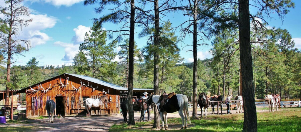 Geronimo Trail Guest Ranch | New Mexico Guest & Dude Ranch