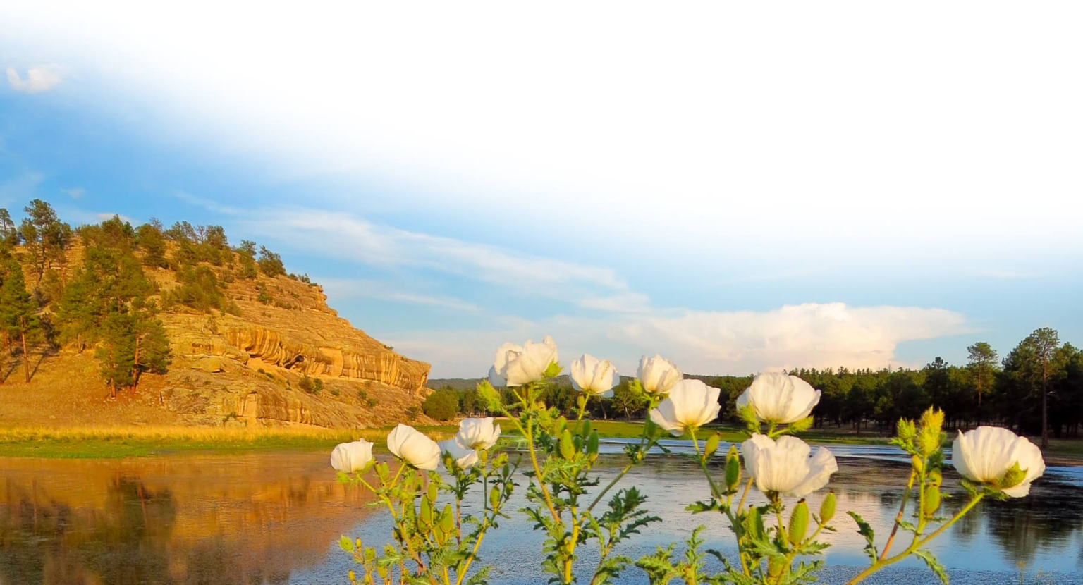 Geronimo Trail Guest Ranch | New Mexico Guest & Dude Ranch