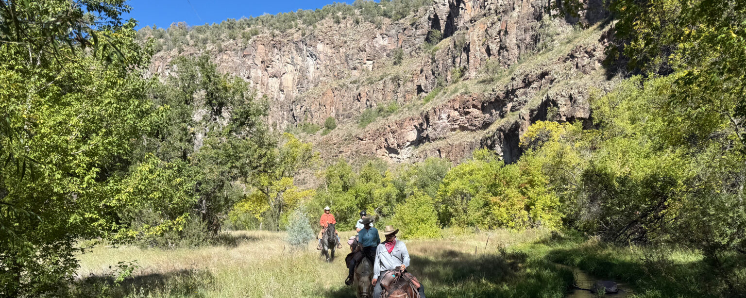 Geronimo Trail Guest Ranch | New Mexico Guest & Dude Ranch