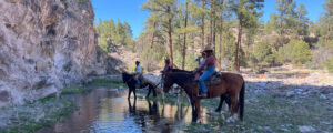 Geronimo Trail Guest Ranch | New Mexico Guest & Dude Ranch