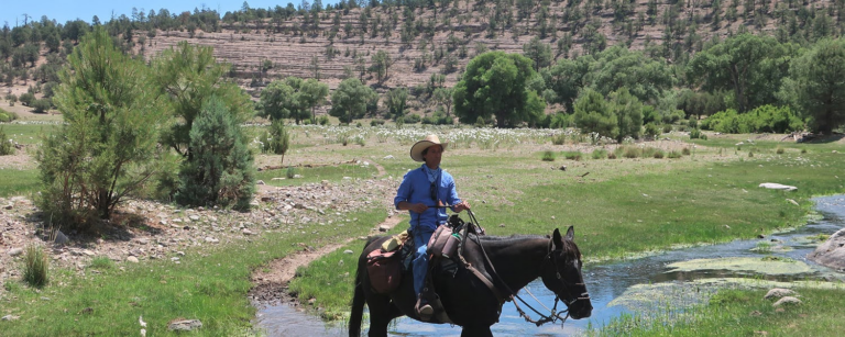 Geronimo Trail Guest Ranch | New Mexico Guest & Dude Ranch