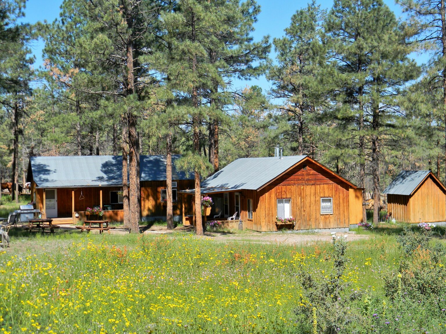 Geronimo Trail Guest Ranch | New Mexico Guest & Dude Ranch
