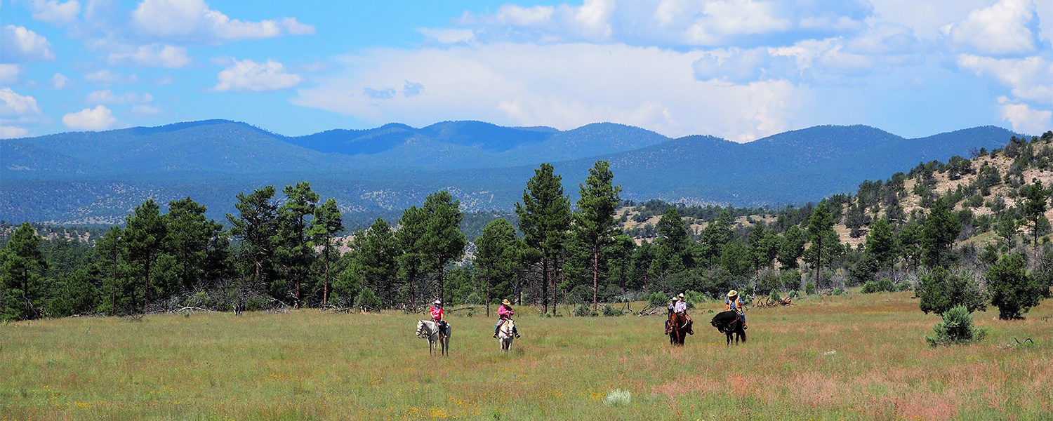 Check Availability | Geronimo Trail Guest Ranch