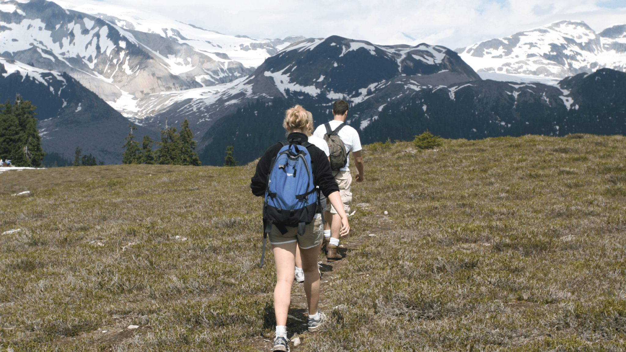 What is Homer Alaska Known For? - The Driftwood Inn