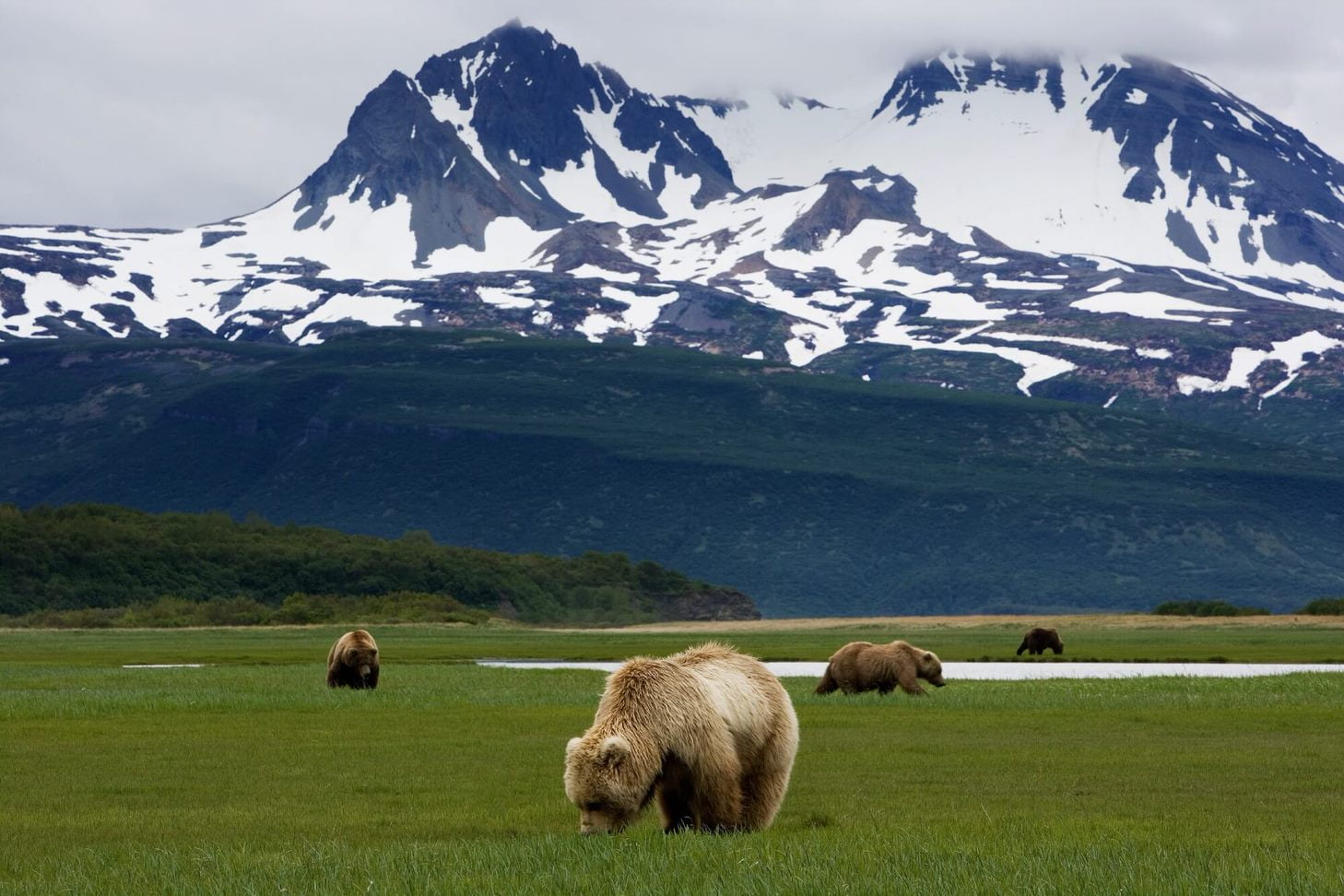 5 Fun Facts about the History of Homer – Alaska’s Best Kept Secret ...