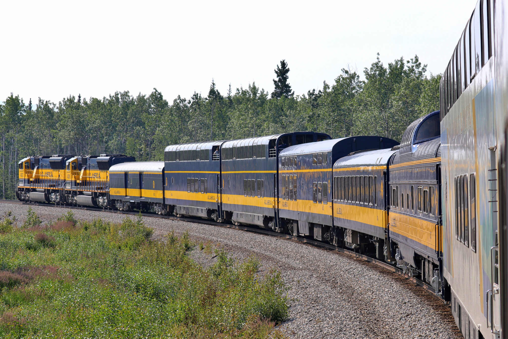 Denali Train Special - The Driftwood Inn