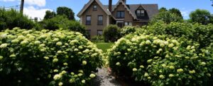 Sayre Mansion: Historic Bed and Breakfast Hotel in Bethlehem, PA