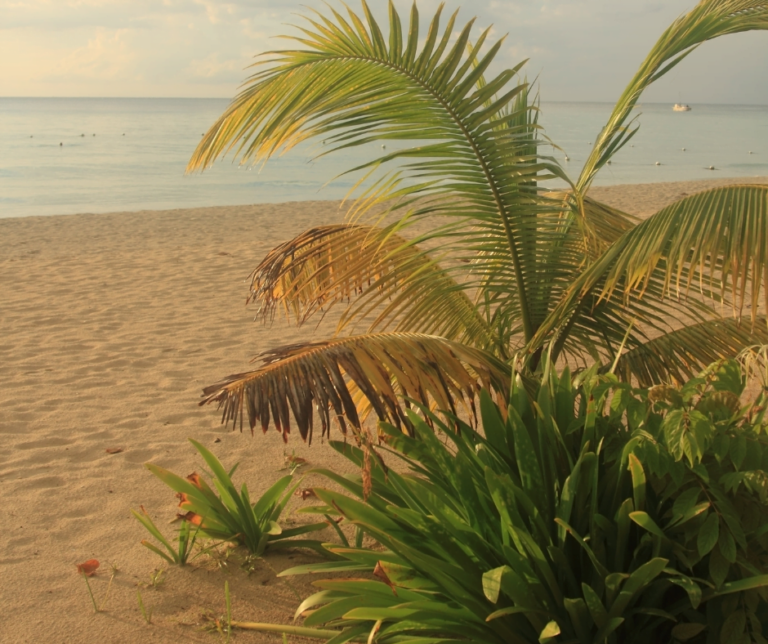 How to Choose Between Ocho Rios or Negril | Ocean Cliff Hotel