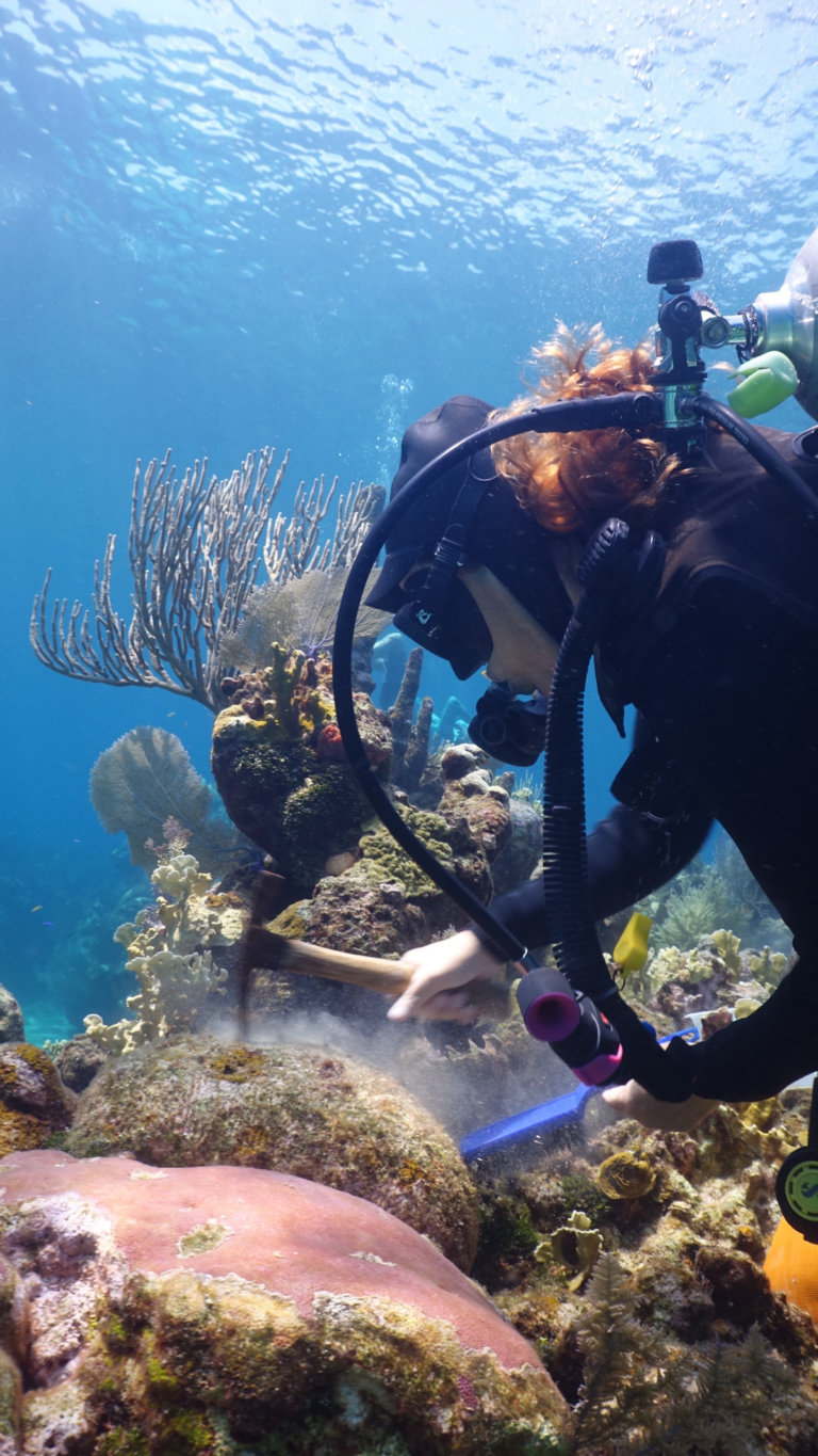 Marine Science Summer Internships | Anthony's Key Resort