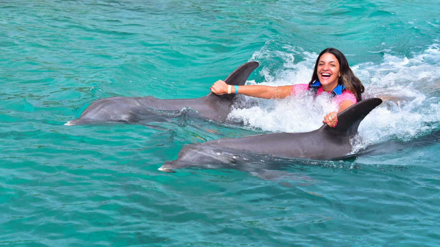 Learn About Our Roatan Dolphin Programs | Anthony's Key Resort