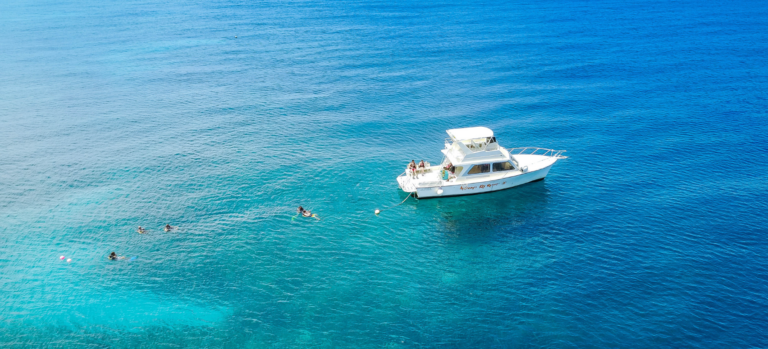 Anthony's Key Resort Roatan: Diving | Dolphins | Serene Getaways