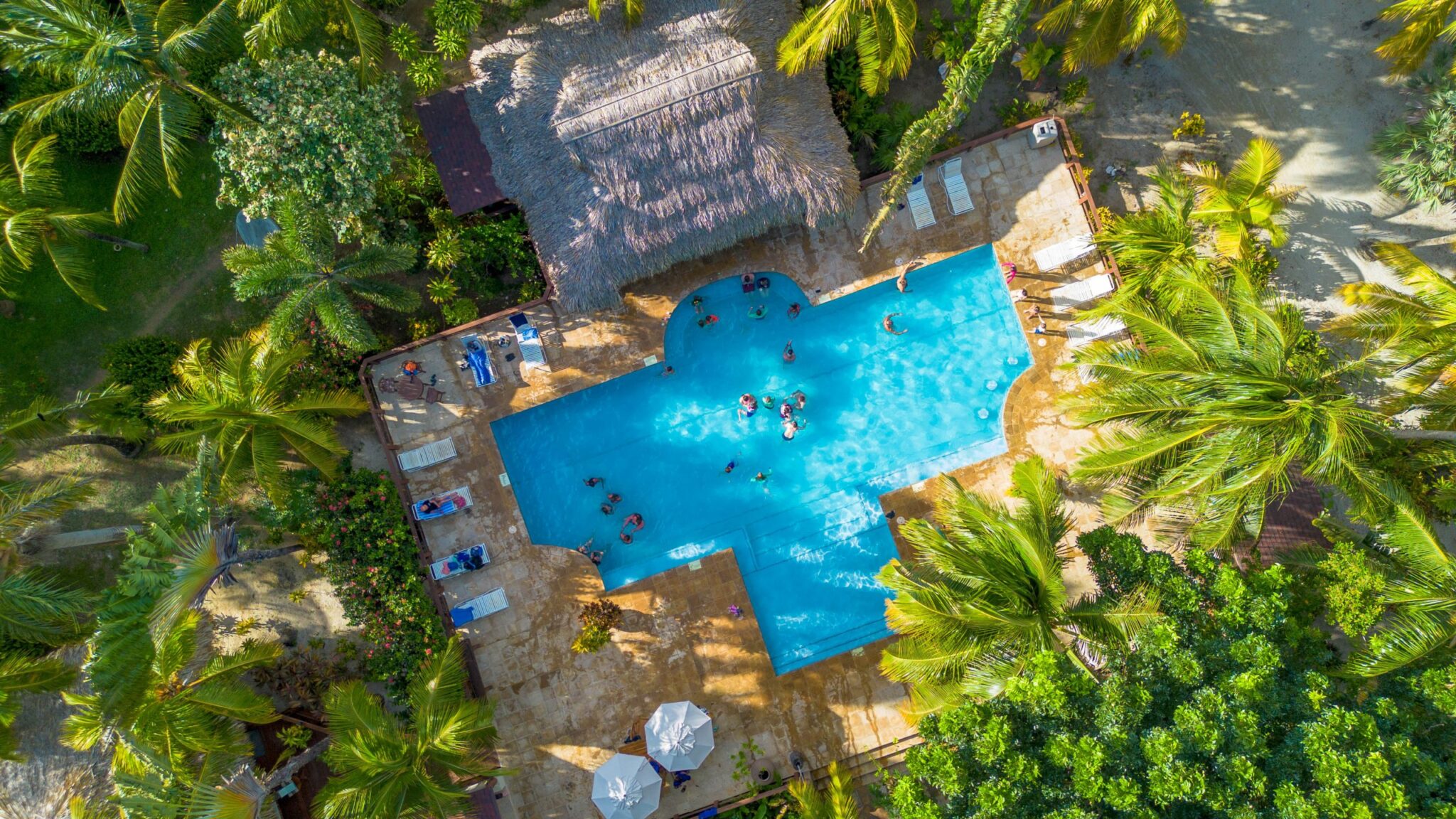 Anthony's Key Resort Roatan: Diving | Dolphins | Serene Getaways