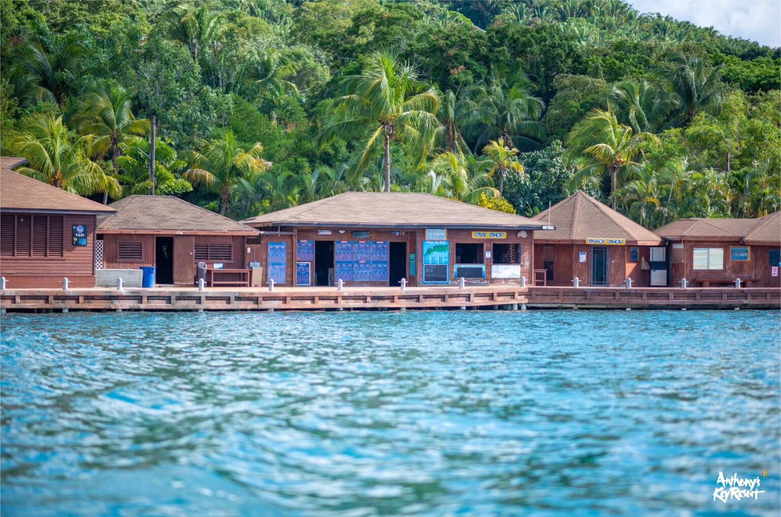 Diving | Anthony's Key | Roatan | Honduras | Bay Islands