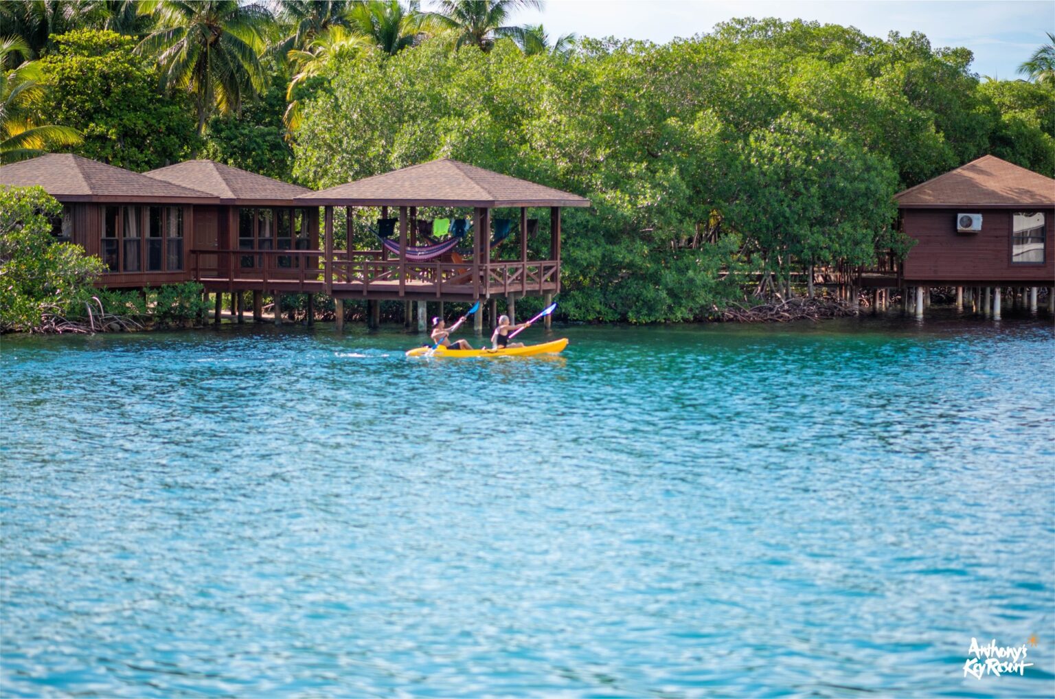 Some of the Best Ways to Go Sightseeing on Roatan Island - Anthony's ...