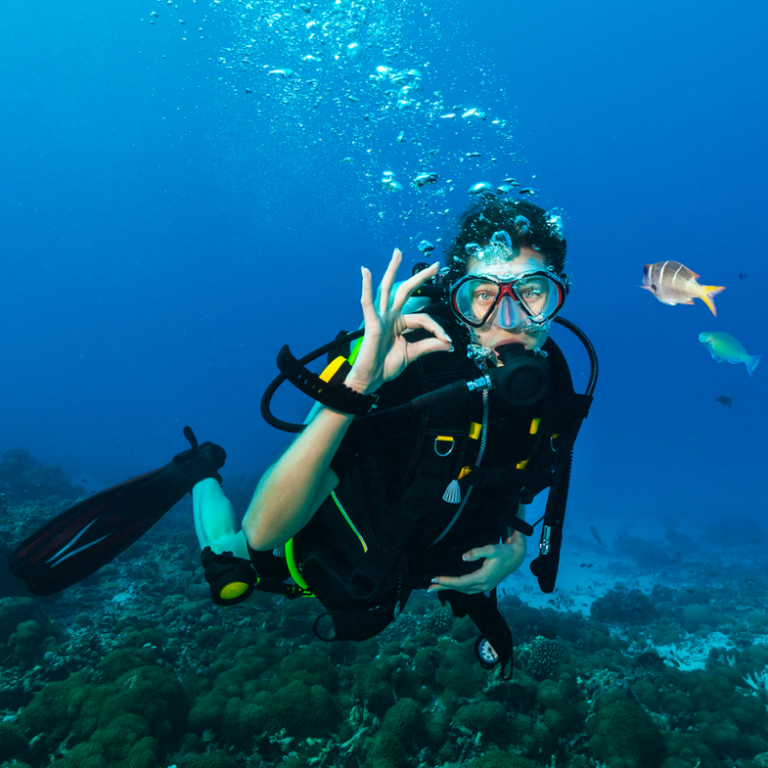 PADI Beginner Scuba Courses | Anthony's Key Resort