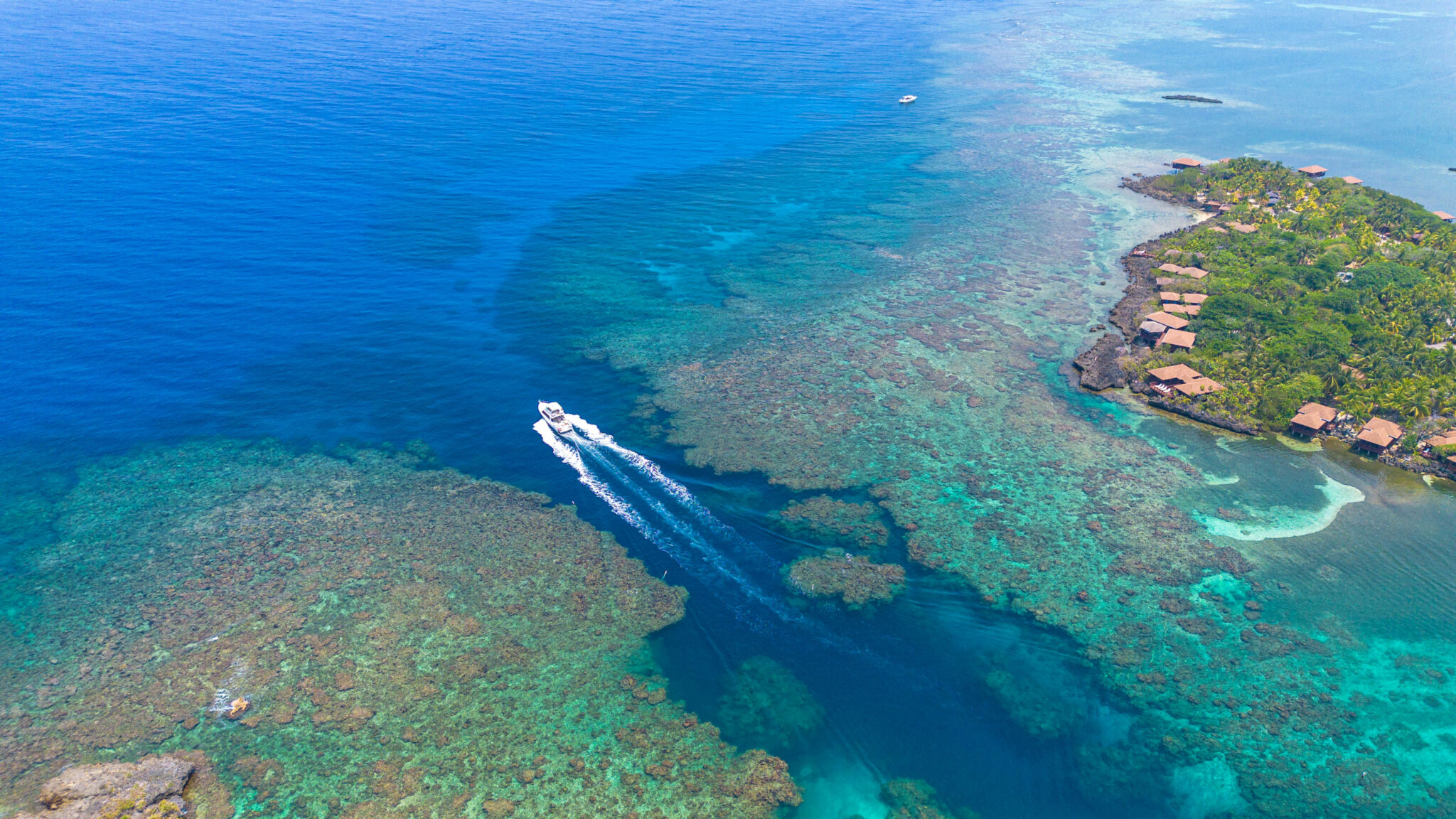 The Best Roatan Resort | Anthony's Key Resort