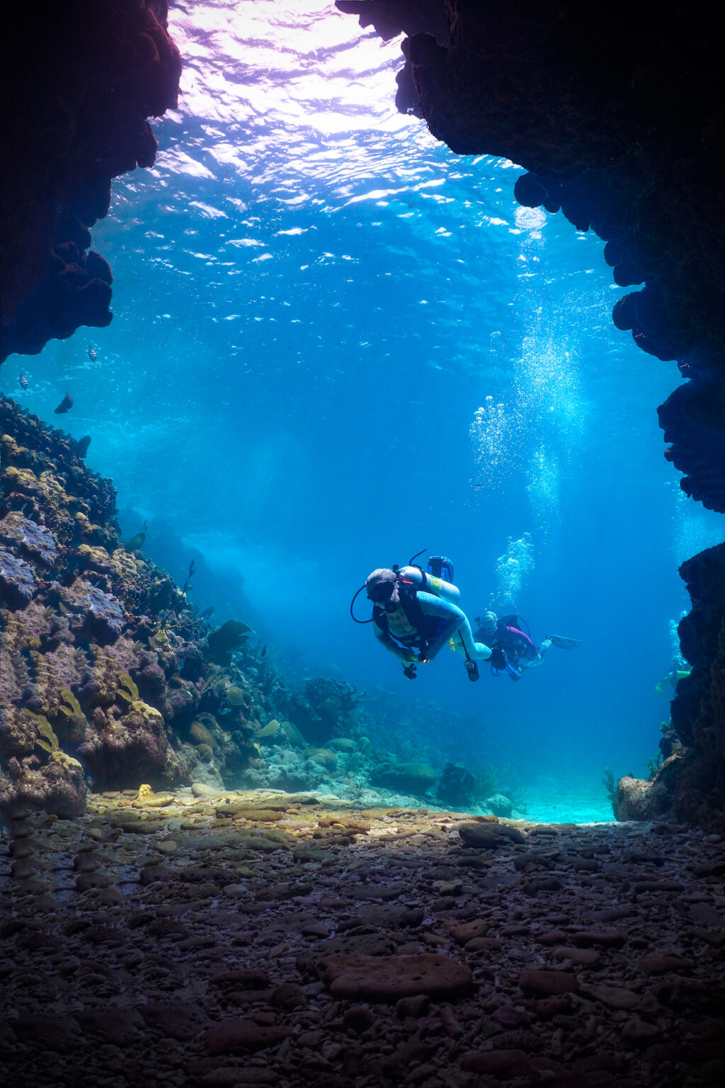 Anthony’s Key Resort | Dive, Snorkel, & Stay in Roatan, Honduras