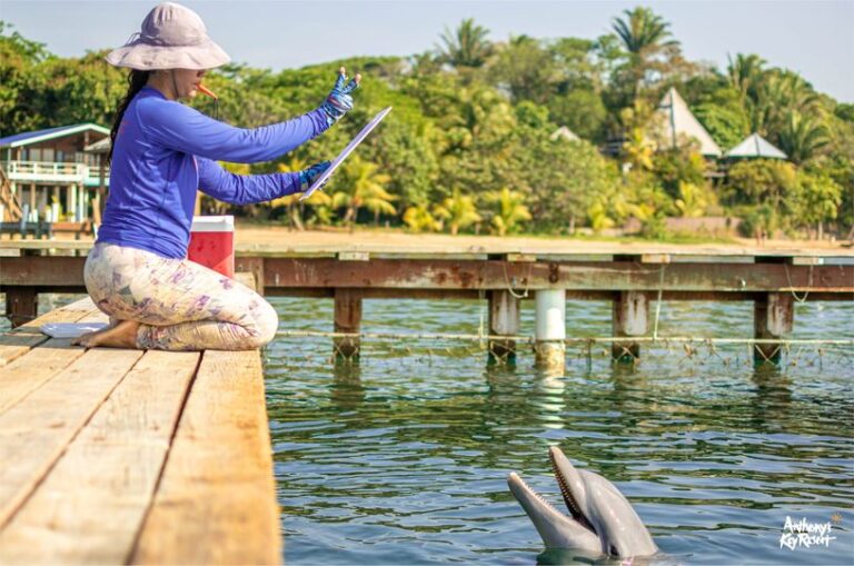 Roatan Institute for Marine Sciences | Anthony's Key Resort