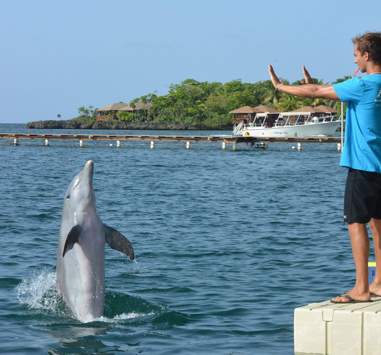 Roatan Institute for Marine Sciences | Anthony's Key Resort