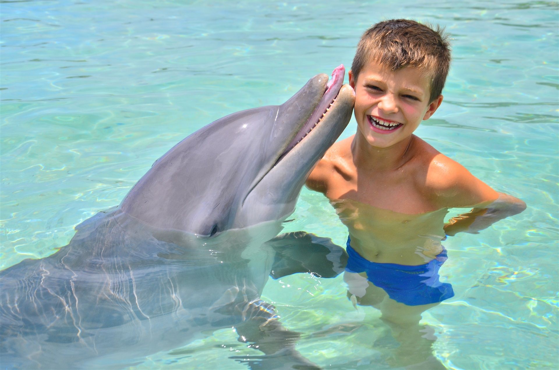 Roatan Dolphin Encounter | Anthony's Key Resort
