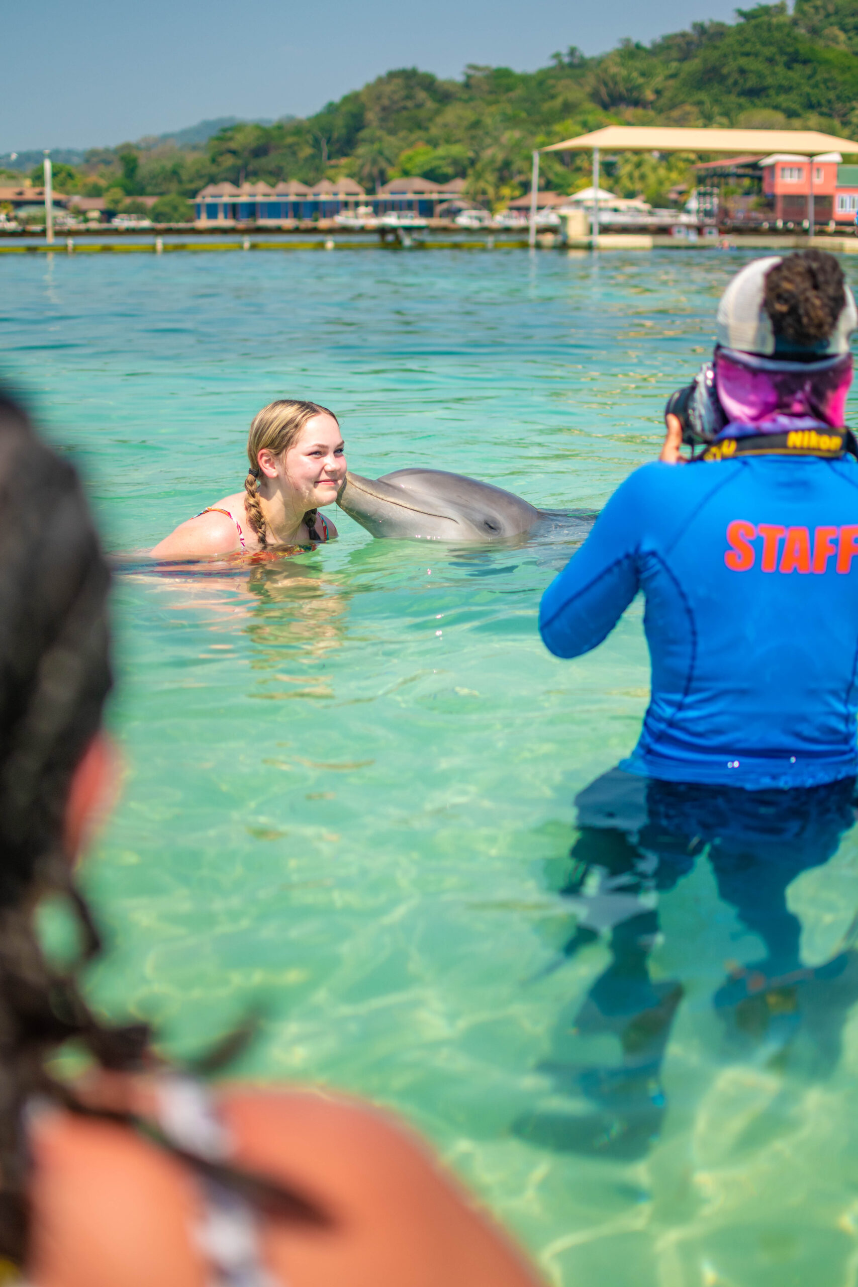 Roatan Dolphin Encounter | Anthony's Key Resort
