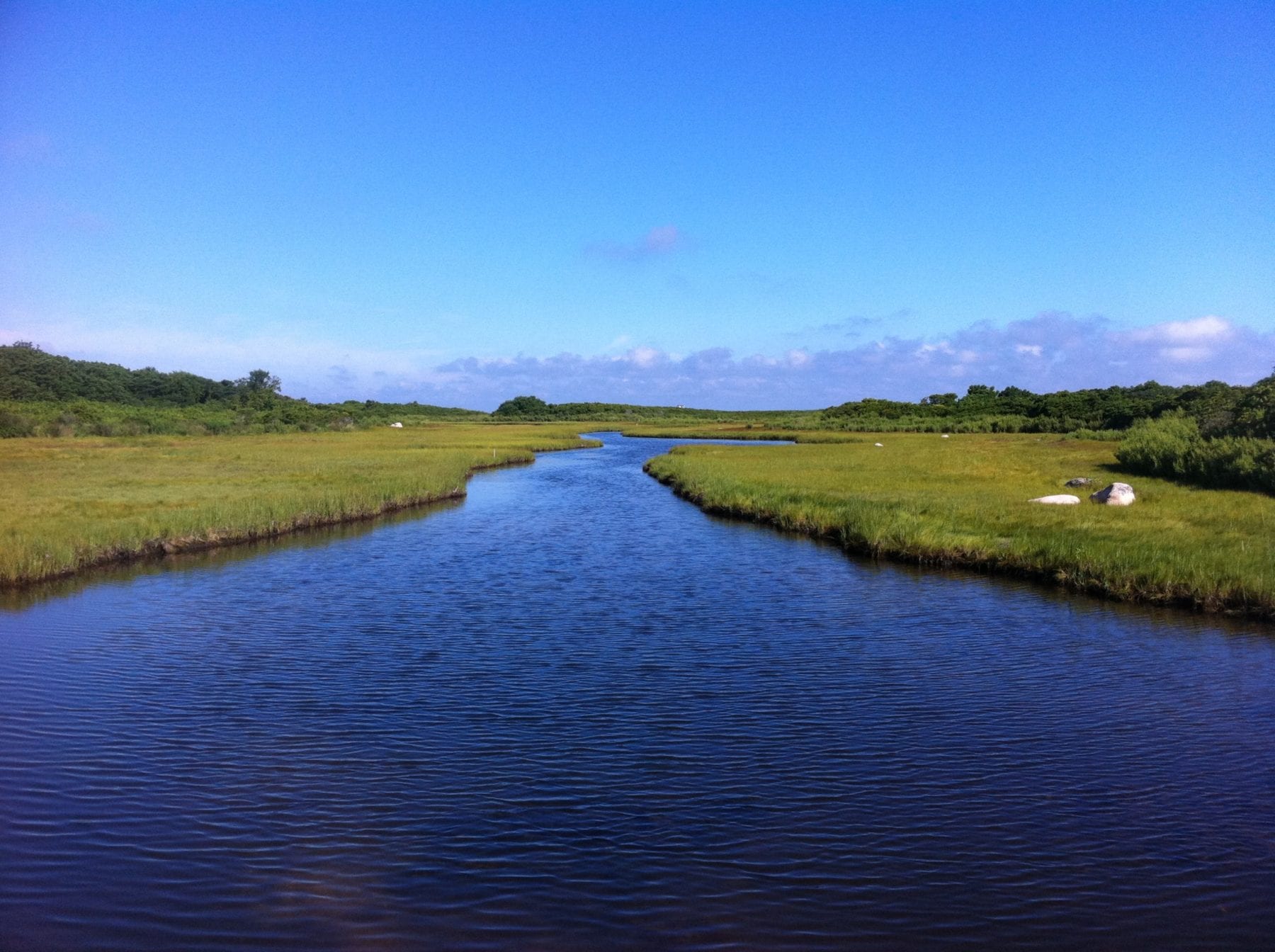 The Best of Cape Cod Outdoor Guide - Woods Hole Inn