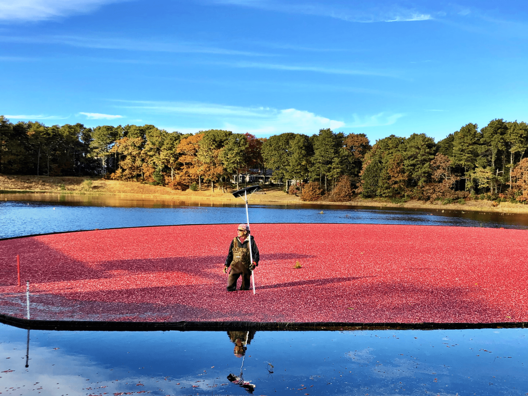 5 Fun Things to Do in the Fall - Woods Hole Inn