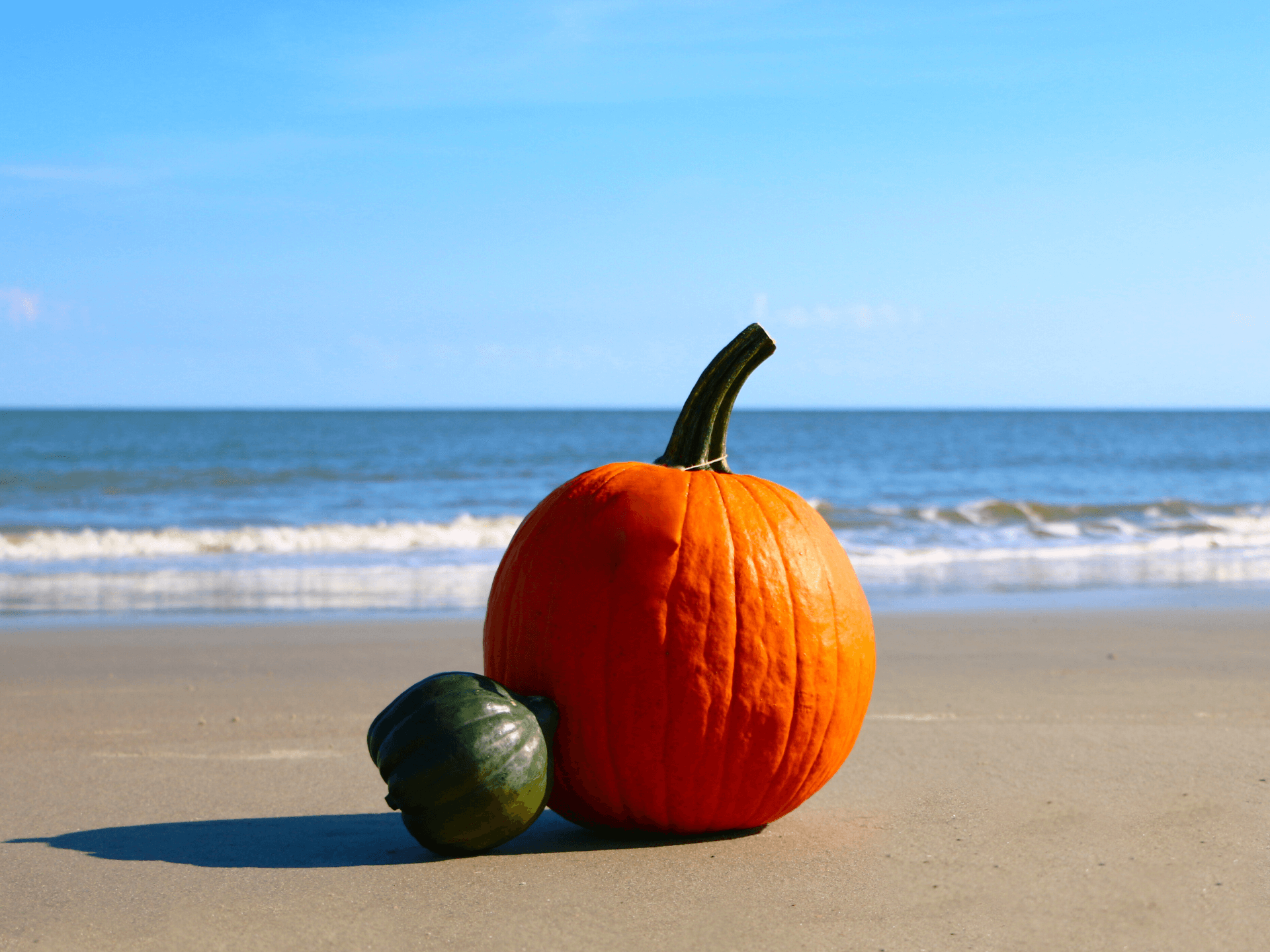 Where to Eat Thanksgiving Dinner on Cape Cod: A Falmouth Feast by the ...