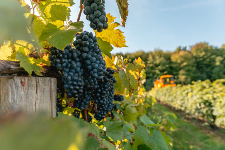 Ohio Wine Country at Geneva on the Lake - The Lakehouse Inn