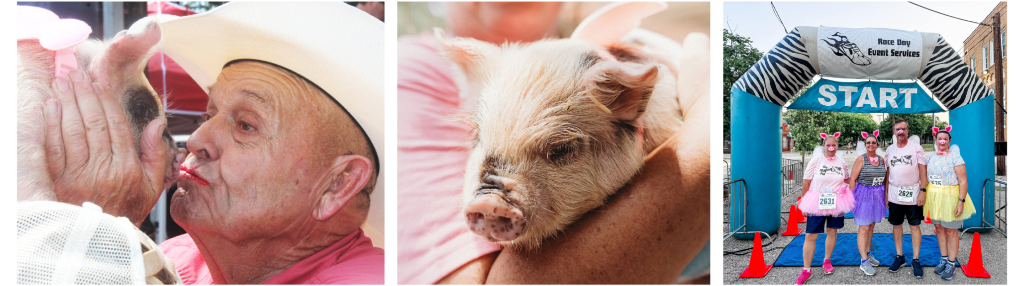 Go Hog Wild at the Flying Pig Festival in Mineral Wells - Magpie Inn