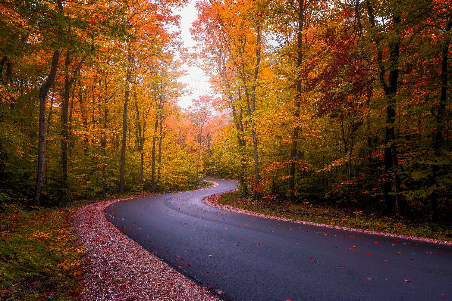 When is the Best Time to Visit Door County? We Have the Answer!