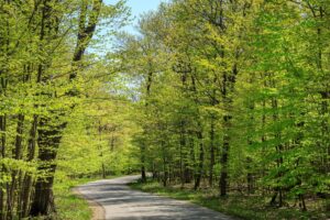 Visit Chamber’s Island in Door County | The Ashbrooke Hotel