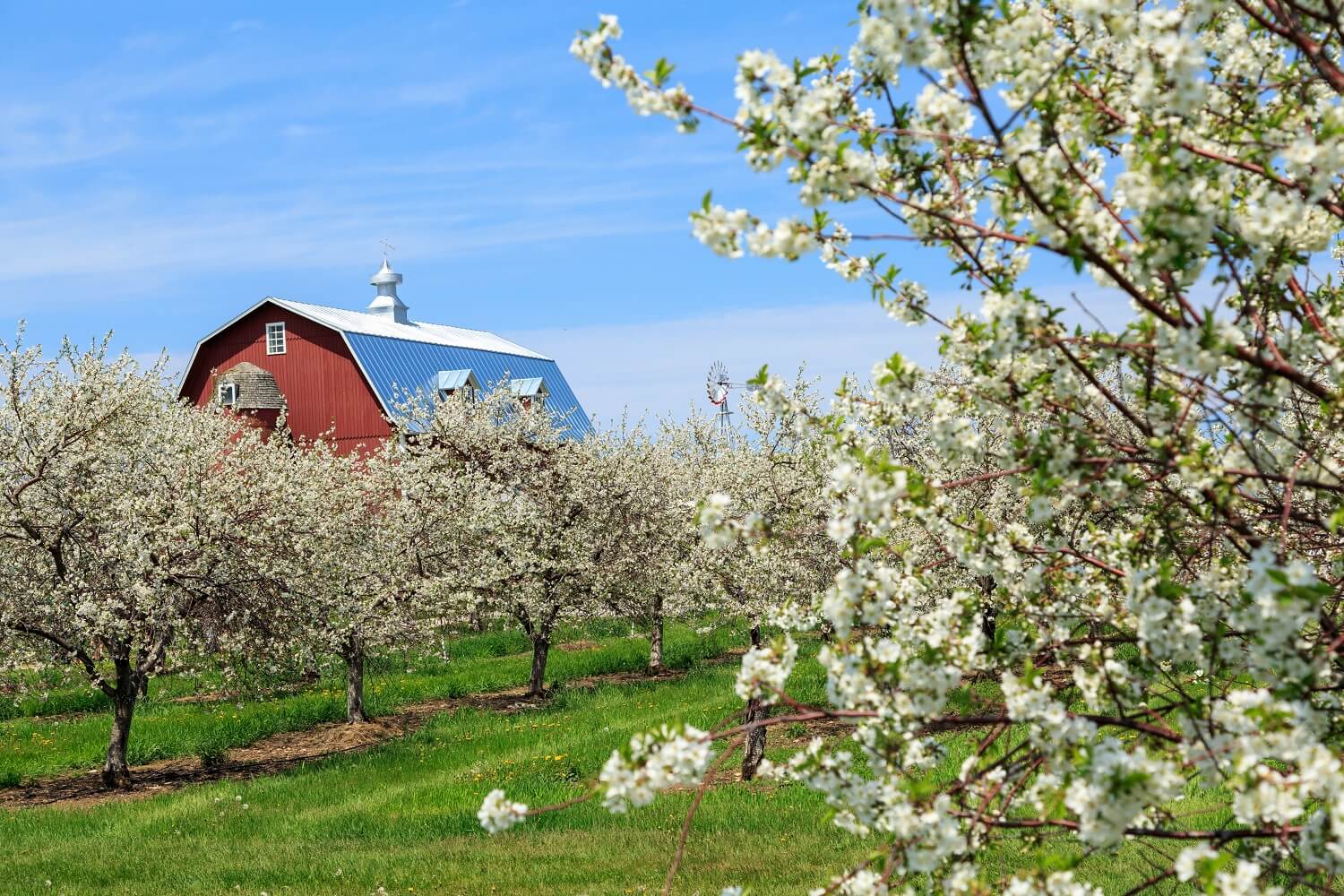 4 Glorious Reasons to Explore All Weather in Door County - Ashbrooke Hotel