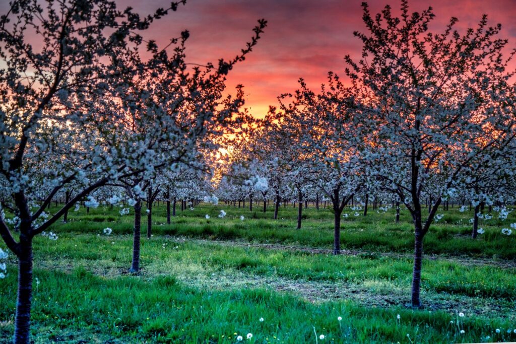 The Ashbrooke Hotel in Egg Harbor | Luxury Door County Hotel